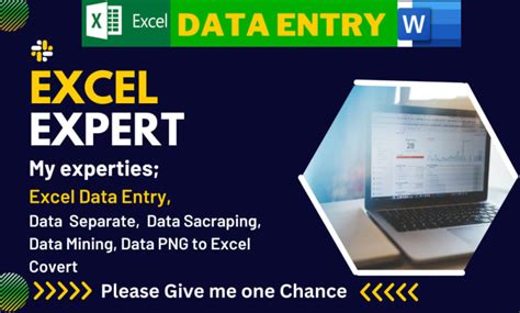 Do Excel Data Entry Data Mining Data Scraping Data Collection By
