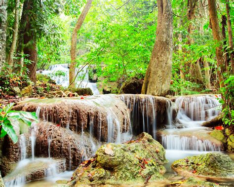 Waterfall In Forest 4k Wallpaper Download