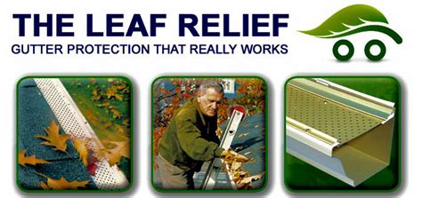 The Leaf Relief Northwest Rain Gutter