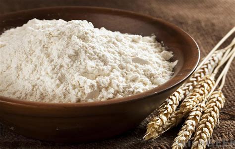 شرکت آرد کامران فارس