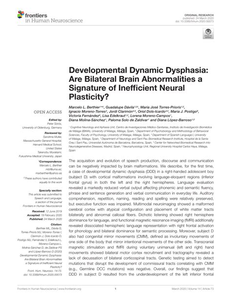 Pdf Developmental Dynamic Dysphasia Are Bilateral Brain
