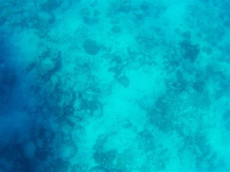 Underwater Texture Ocean
