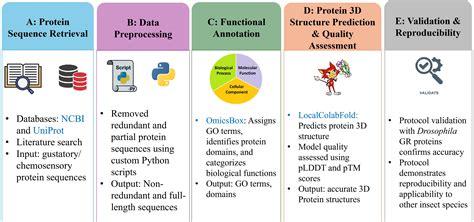 A Step By Step Computational Protocol For Functional Annotation And