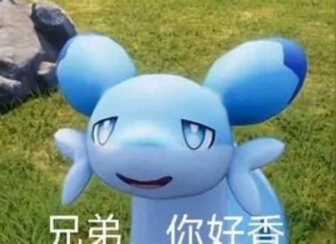 兄弟你好香百度百科