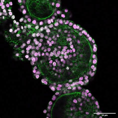 Nucleate 2024 Activator Program Launch Obn