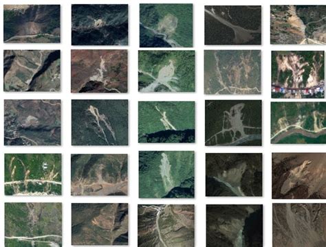 Training Dataset Samples Download Scientific Diagram