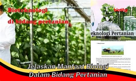 Manfaat Kompos: Keajaiban Untuk Lingkungan dan Pertanian - Biotifor
