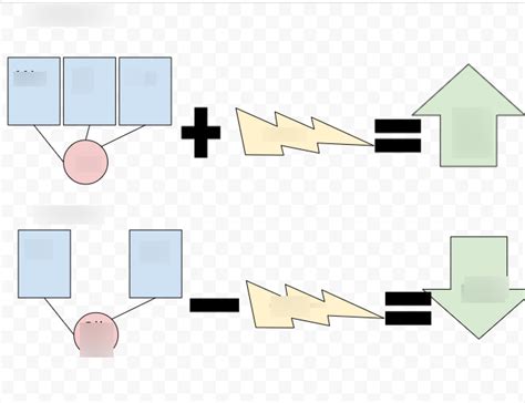 Chapter 5 Muscarinic Cholinergic Receptors Diagram Quizlet