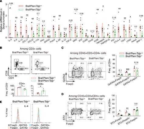 Absence Of Tslp Leads To Reduced Accumulation Of Gata3 Tregs In Download Scientific Diagram