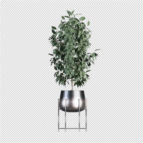 Premium Psd 3d Rendering Nature Object Tree Isolated