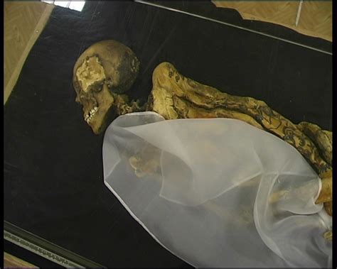 Siberian Ice Maiden The Well Preserved Tattooed Mummy