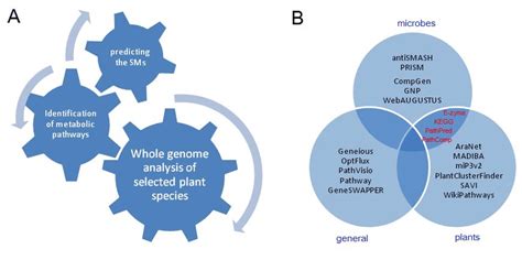 A Summary Of Genome Mining Approaches For The Discovery Of Sms B