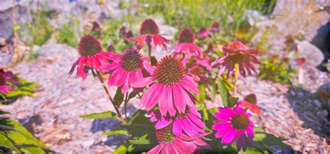 Unlocking Excellence Part I