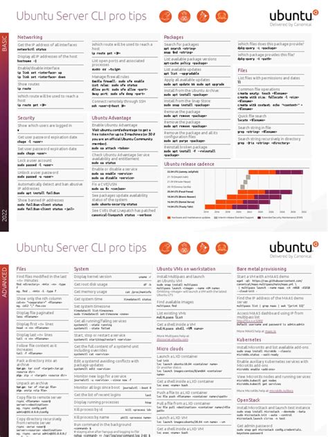Ubuntu Server Cli Pro Tips Networking Packages Pdf Sudo Secure Shell