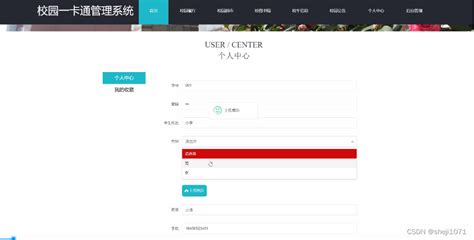 计算机毕设node js vue校园一卡通管理系统（程序 lw 部署） node js校园卡管理系统 csdn博客
