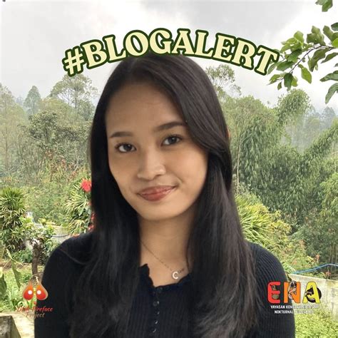 Little Fireface Project On Linkedin Blogalert Intern