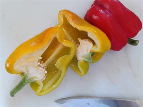 Peperoni Ripieni Di Carne Al Forno Facili Da Preparare