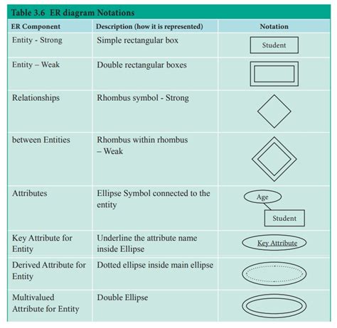 Er Diagram Er Modeling Diagram Notations Example