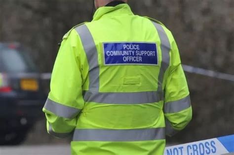 Surrey Pcso Contacted And Met Woman For Sex While On Duty Surrey Live