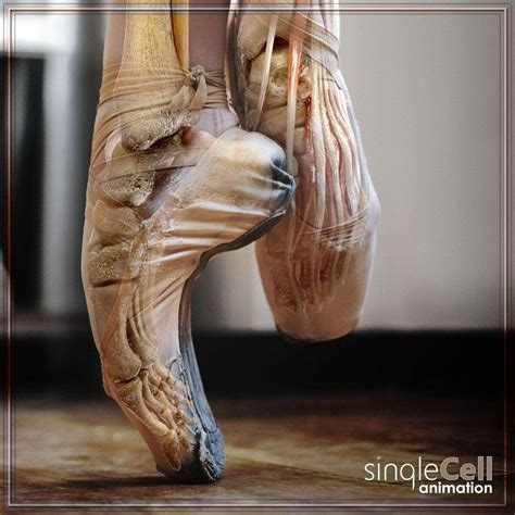 Pin By Tracy Monk On Olivia Ballerina Feet Ballet Feet Dance