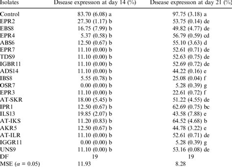 Antagonist Pathogen Interaction Effect On Maize Seedling Growth Download Scientific Diagram