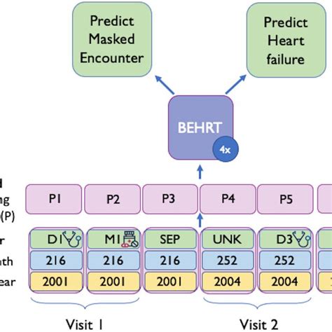 Diagram Of Behrt For Mlm And Risk Prediction Behrt Utilizes Encounters