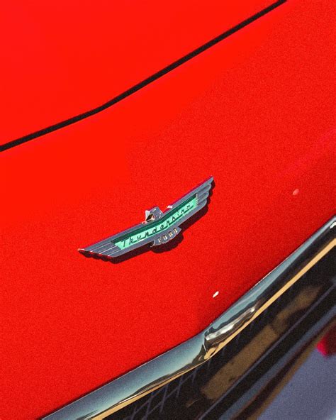 Xavier Haley Theofficialxavierhaley • Instagram Photos And Videos