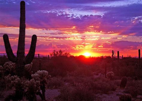 The Fiery Phoenix Arizona Sunrise Arizona Sunset Desert Sunrise
