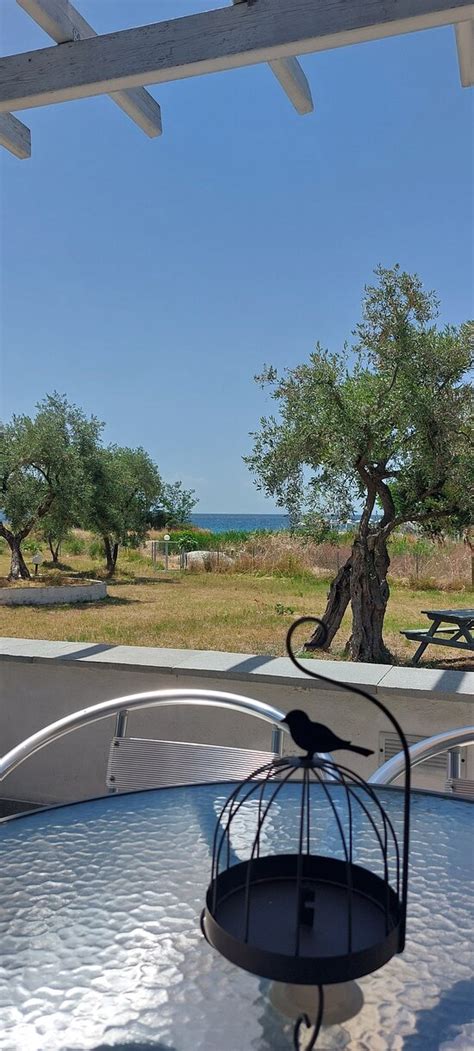 Terra Di Olive Thassos Potos Grèce Thásos Tarifs 2026