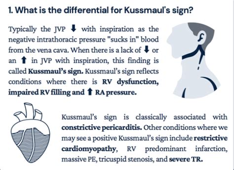 Kussmauls Sign Differential Diagnosis Typically The Jvp Decreases