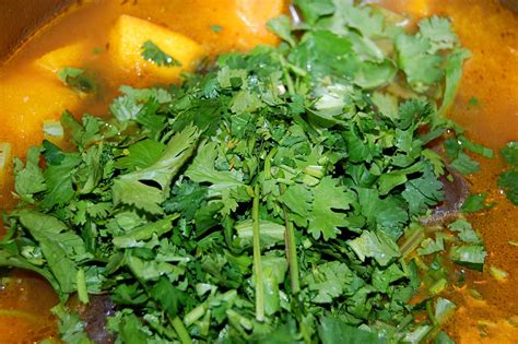 Pumpkin Chowder Newlyweds