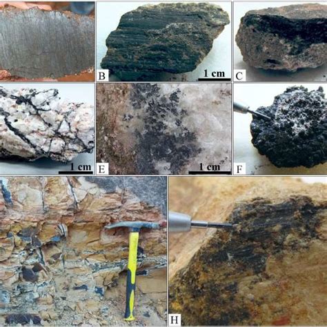 Scanning Electron Microscope Sem Image Of A Hematite Particle Download Scientific Diagram