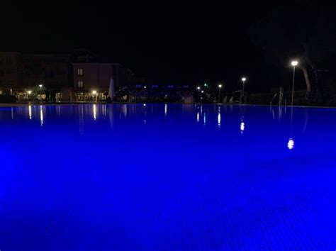 Ccsc 2023 In Spain Having A Great Time Together With Colleagues And