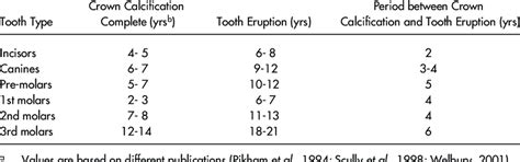 Approximate Values For Tooth Calcification And Eruption In Permanent