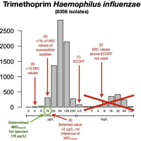 Example Of The Predicted No Effect Concentration Pnec Calculation