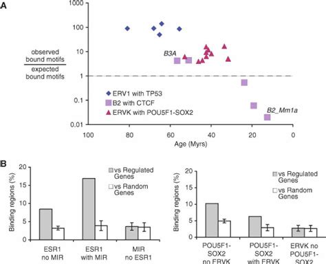 Transposable Elements Are Enriched For Bound Motifs And Are Associated