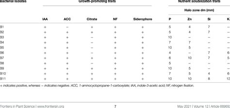 Growth Promoting And Nutrient Solubilization Traits Of 11 Bacterial Download Scientific Diagram
