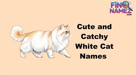 201 Catchy And Best White Cat Names With Name Generator 🐱