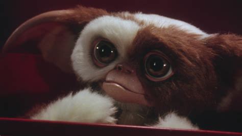 Gremlin Gizmo Wallpapers 26 Images Wallpapercat