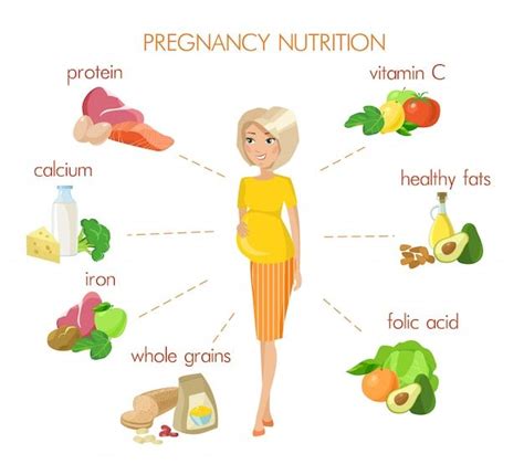 Detailed Pregnancy Nutrition Infographic Healthy Food Premium Vector Pregnancy Nutrition