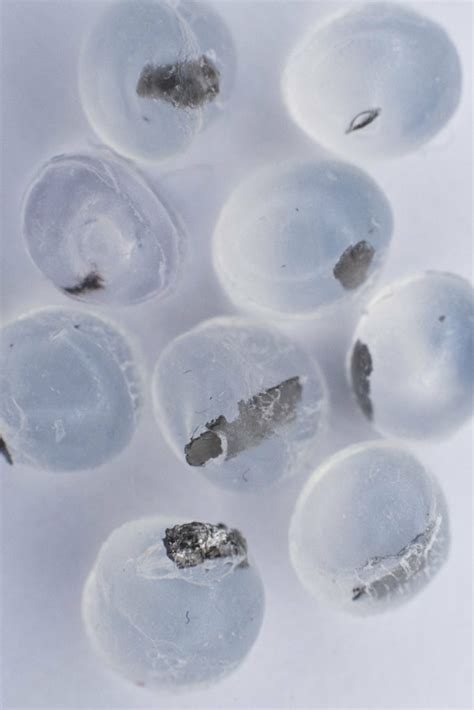 Inspection And Detection Of Metallic Contamination In Plastic Pellets Wire