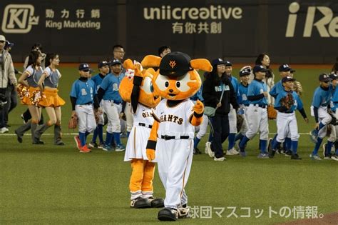 ジャビットのプロフィールとスケジュール｜球団マスコットの情報。