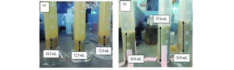 Comparison Of Swelling Index Test A Calcium Bentonite And B Sodium