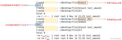 【linux】管理文件系统权限linux创建一个文件file查看文件的权限并将其访问权限设置为rwxrw R 。 Csdn博客