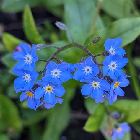 First Thoughts On A System Of Profound Testing Testandanalysis