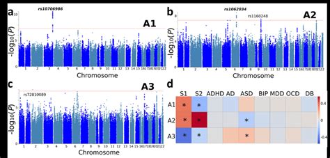 Genetic Architecture Of The Three Asd Dimensions In The General Download Scientific Diagram