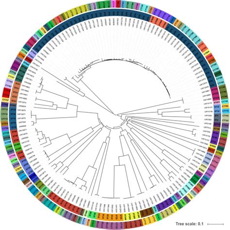 A Core Genome Multilocus Sequence Typing Scheme For Enterococcus Faecalis Pmc