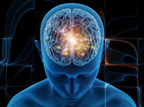 Can Iq Scores Really Be Raised 7 Proven Ways To Boost Your Brain 易 2025 Free Iq Tests