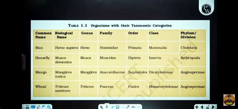 Table 1 1 Organisms With Their Taxonomic Categories Common Name Biolo