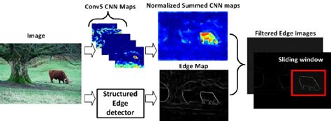 Figure 1 From Object Proposals Using Cnn Based Edge Filtering Semantic Scholar